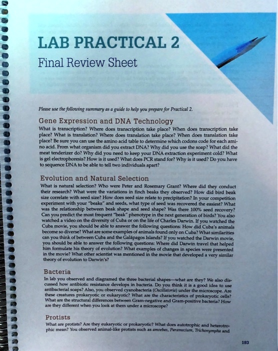 SOLVED: LAB PRACTICAL 2 Final Review Sheet plae VooC follotng surnAry auil to help yvu prrqzute ...