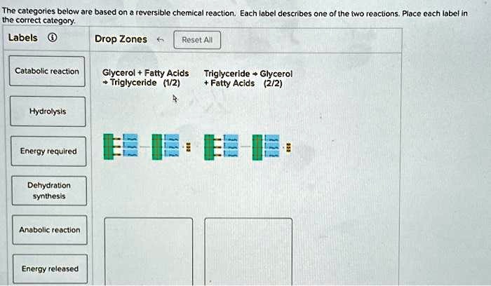 The categories below are based on a reversible chemical reaction. Each ...