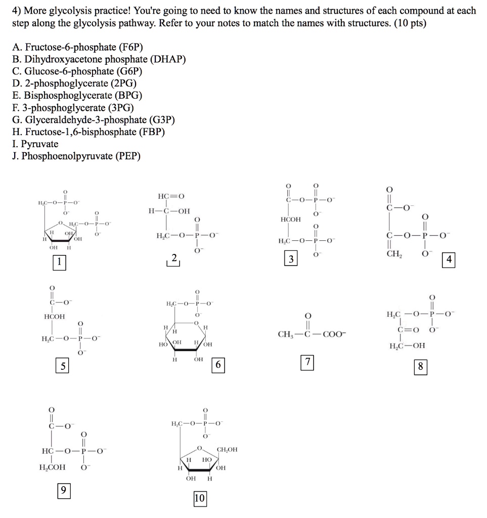 SOLVED:4) More glycolysis practicel You're going to need to know the ...