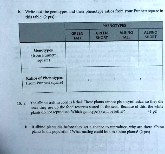 write out the genotypes and their phenotype ratios from your punnett ...