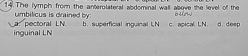 SOLVED: The lymph from the anterolateral abdominal wall above the level ...