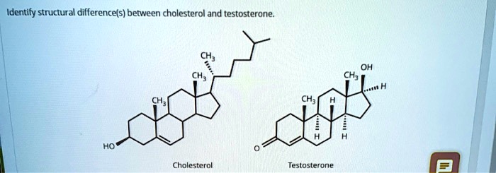 SOLVED: Identify structural difference(s) between cholesterol and ... SOLVED: Identify structural difference(s) between cholesterol and ...