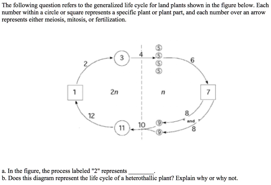 SOLVED: The following question refers to the generalized life cycle for ...