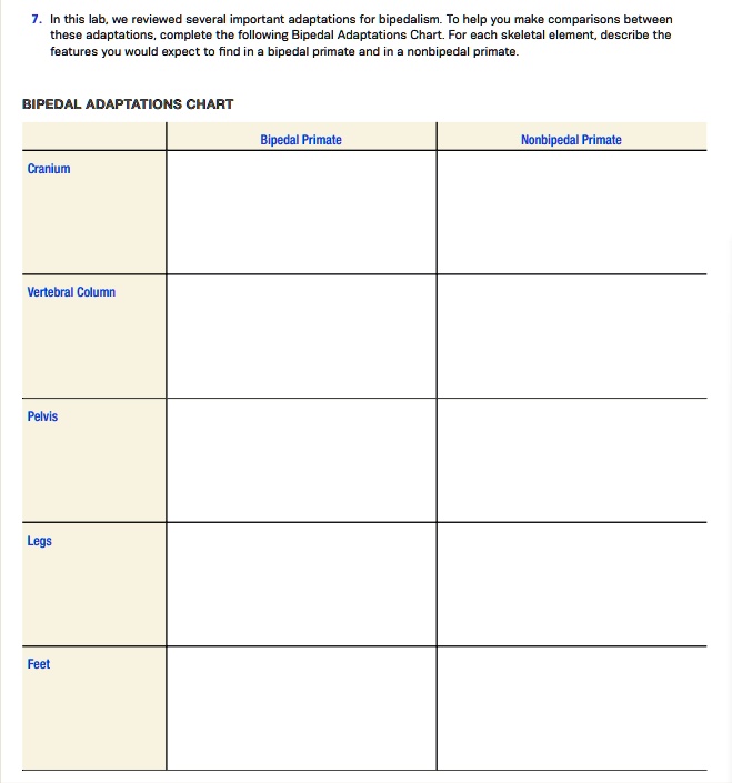 SOLVED:In this lab. we reviewed several important adaptations for ...