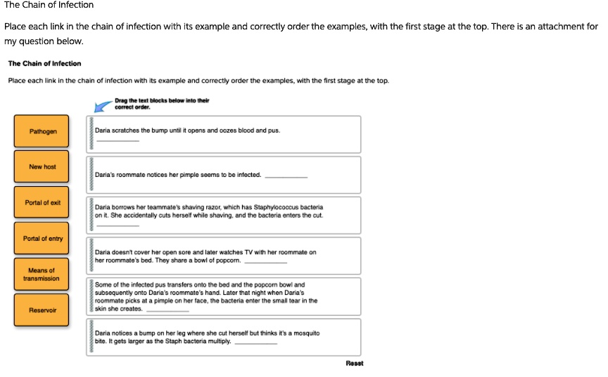 [GET ANSWER] the chain of infection place each link in the chain of ...