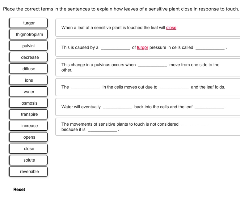 place the correct terms in the sentences to explain how leaves of a ...