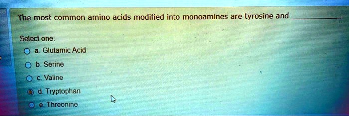 SOLVED: The most common amino acids modified into monoamines are ...