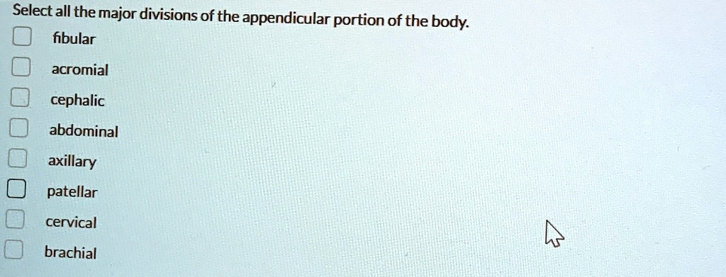 select all the major divisions of the appendicular portion of the body ...