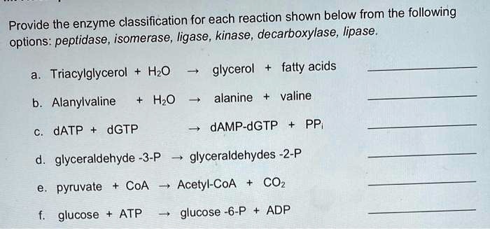 SOLVED:Provide the enzyme classification for each reaction shown below ...