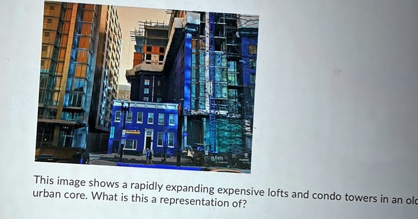 SOLVED: - zoning - gentrification - sustainable city planning - white ...