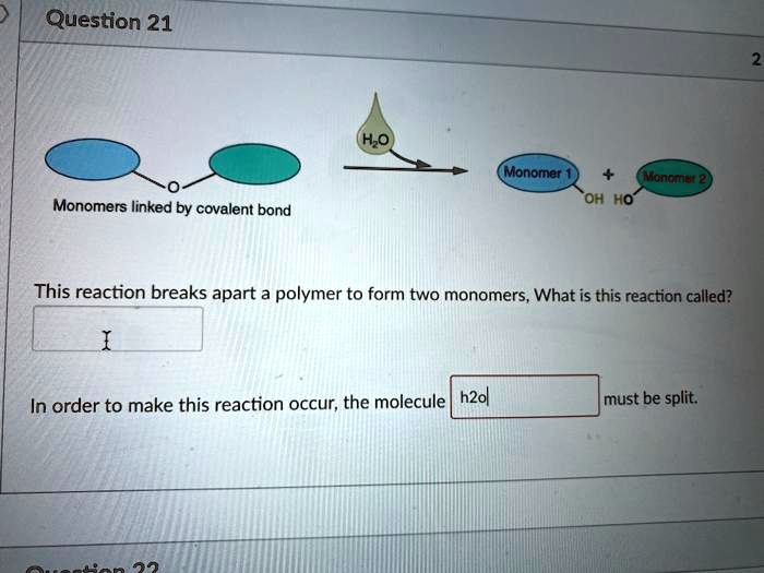 SOLVED: Monomer Monome Oh Ho Monomers linked by covalent bonds This ...