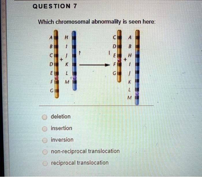 SOLVED: Question 7 Which chromosomal abnormality is seen here: deletion ... SOLVED: Question 7 Which chromosomal abnormality is seen here: deletion ...