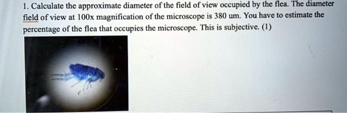 SOLVED: 1. Calculate the approximate diameter of the field of view ...