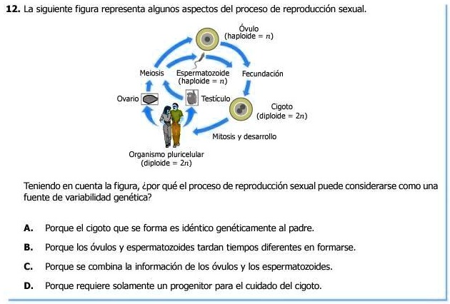 por favor ayudaaaaaa 12 la siguiente figura representa algunos aspectos ...