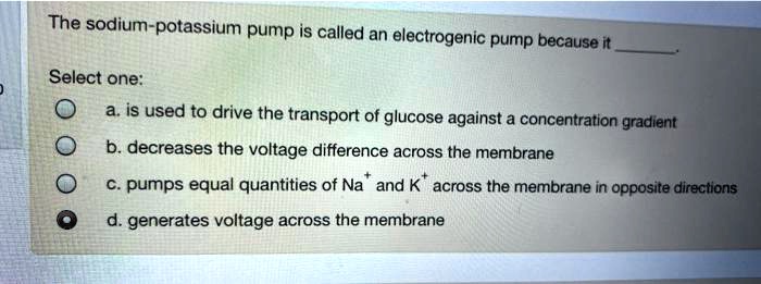 SOLVED: The sodium-potassium pump is called an electrogenic pump ...