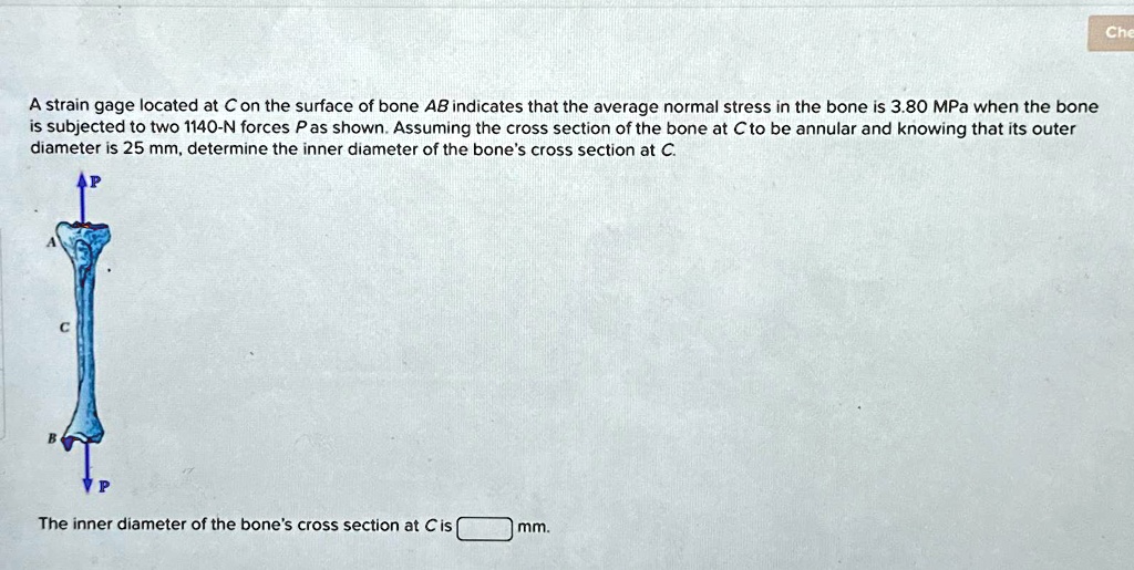 SOLVED: A strain gage located at C on the surface of bone AB indicates ...