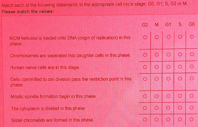 maich each of ihe follawing statements lolthe appropriare cellicyc ...