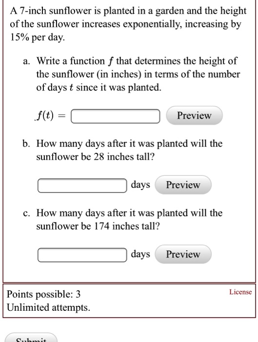 a 7 inch sunflower is planted in a garden and the height of the ...