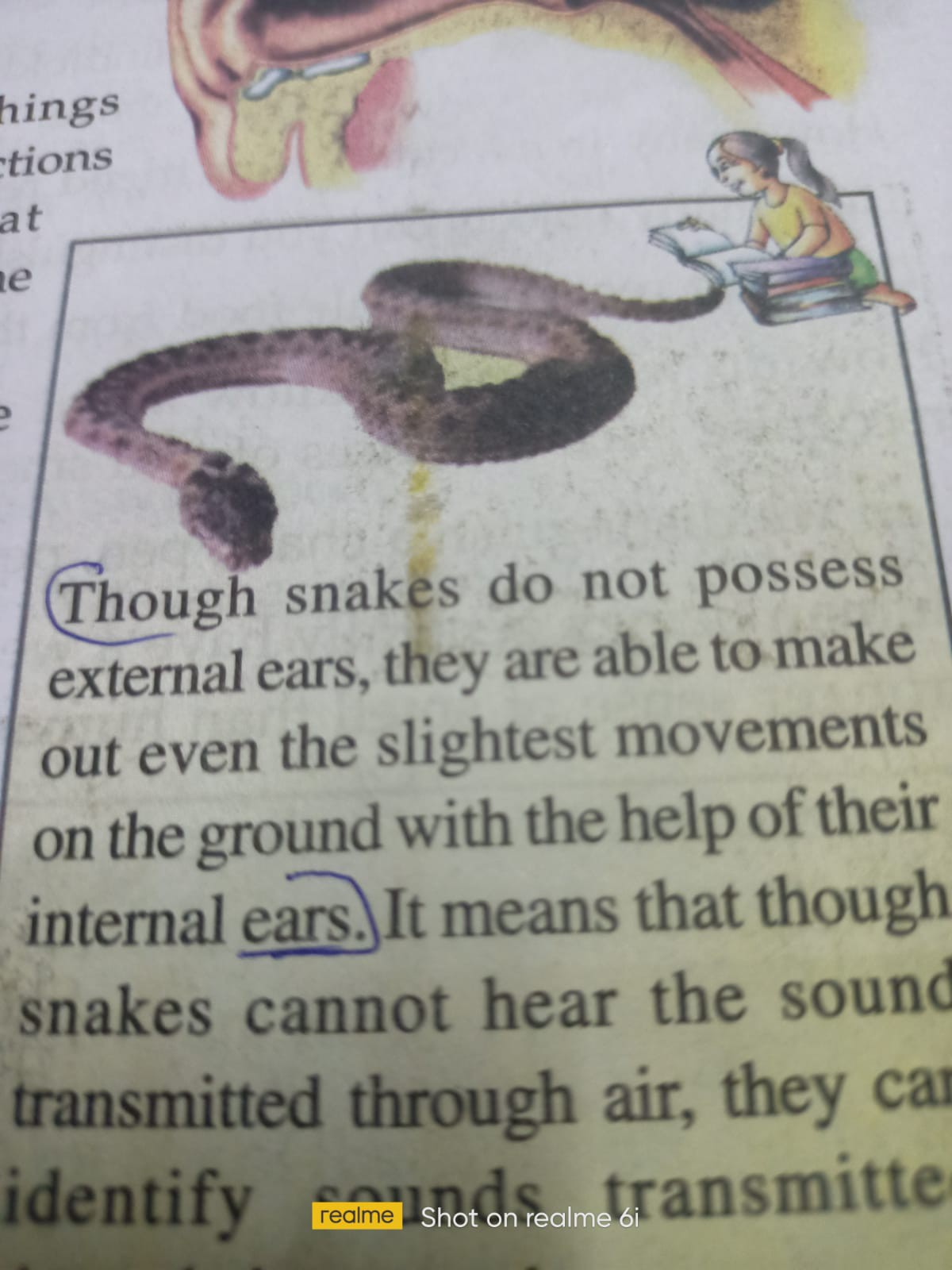 SOLVED: Though snakes do not possess external ears, they are able to ...