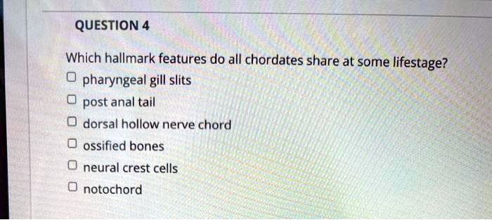 SOLVED: Which hallmark features do all chordates share at some life ...
