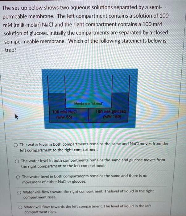 the set up below shows two aqueous solutions separated by semi permeable membrane the left ...