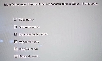 Identify the major nerves of the lumbosacral plexus. Select all that ...