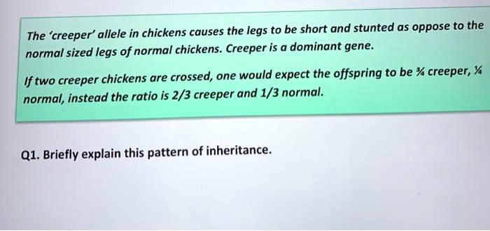 the creeper allele in chickens causes the legs to be short and stunted ...