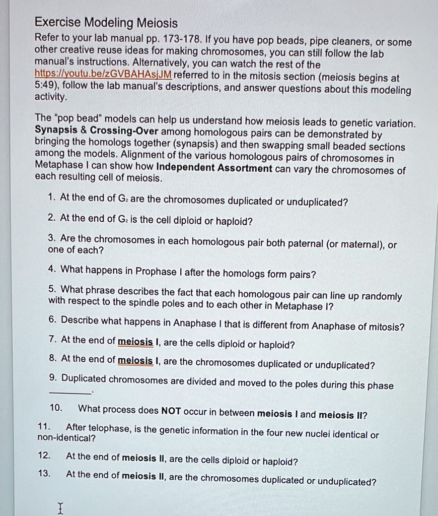 Exercise Modeling Meiosis Refer to your lab manual pp. 173-178. If you ...