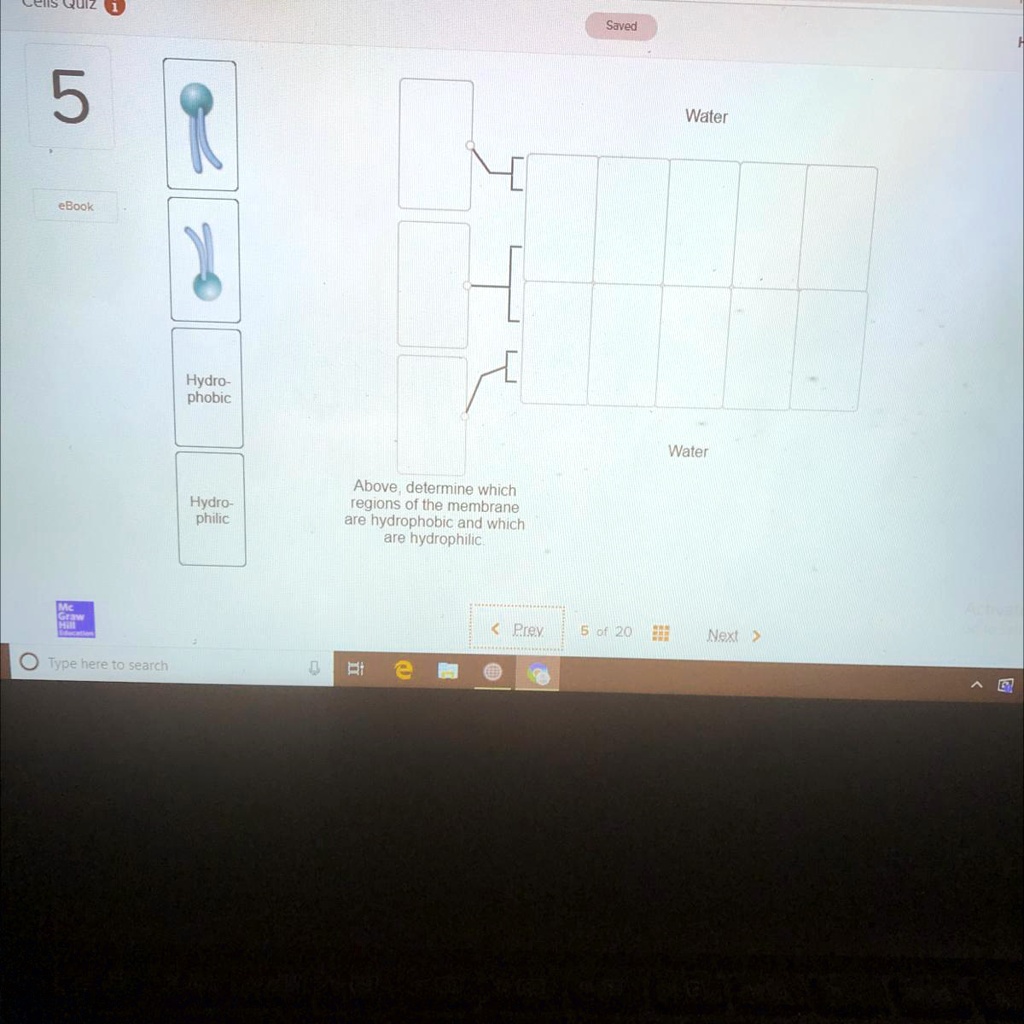 use the labels to draw and annotate a cell membrane build the cell membrane across the center of ...