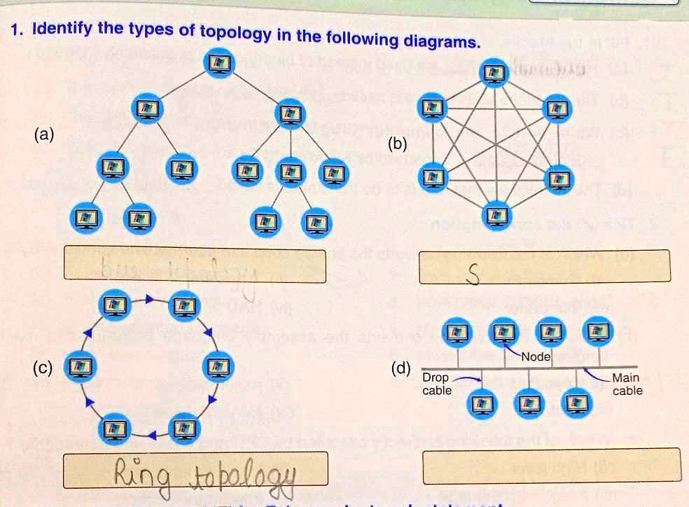 1 identify the types of topology in the following diagrams identify the ...