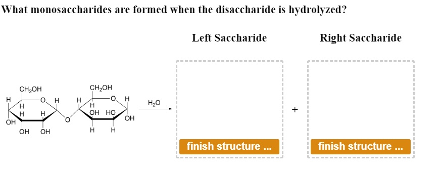SOLVED: What monosaccharides are formed when the disaccharide is ...