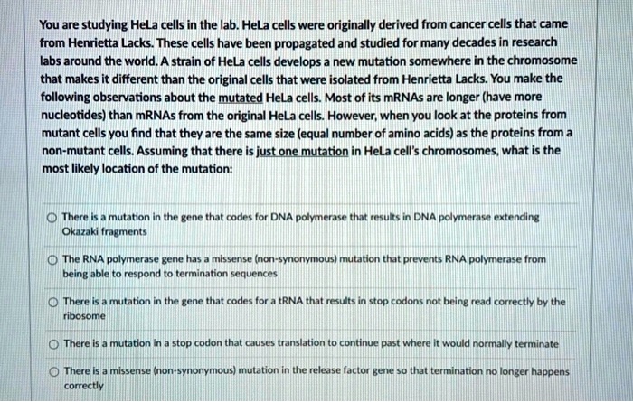 You are studying HeLa cells in the lab. HeLa cells were originally ...
