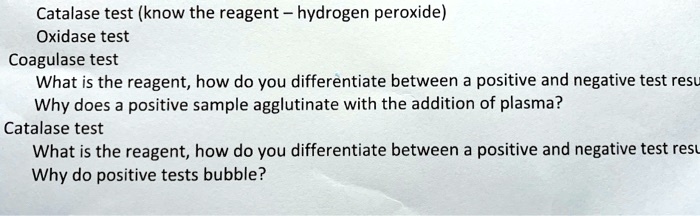 catalase test know the reagent hydrogen peroxide oxidase test coagulase ...