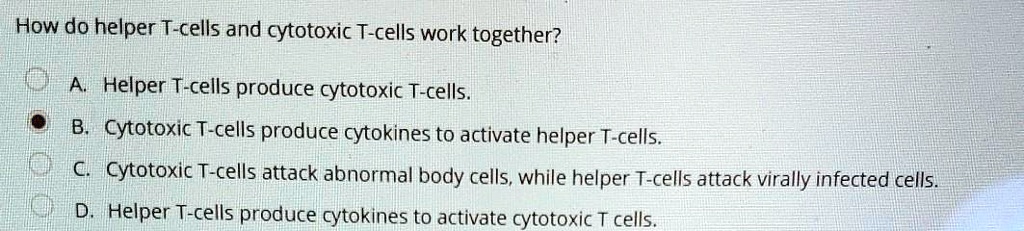 SOLVED: How do helper T-cells and cytotoxic T-cells work together ...