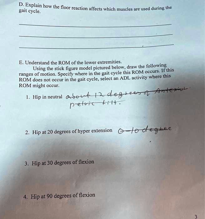 SOLVED: Explain how the floor reaction affects which muscles are used ...