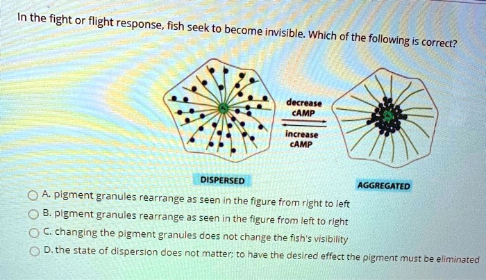 SOLVED:In the fight or flight response, fish seek to become invisible ...