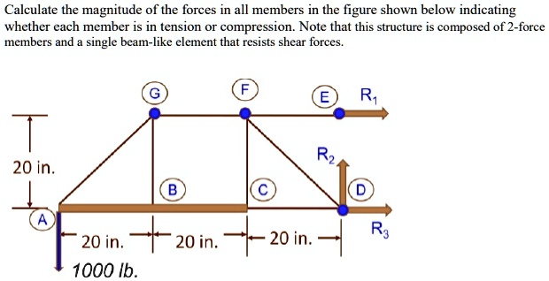 Calculate the magnitude of the forces in all members in the figure ...