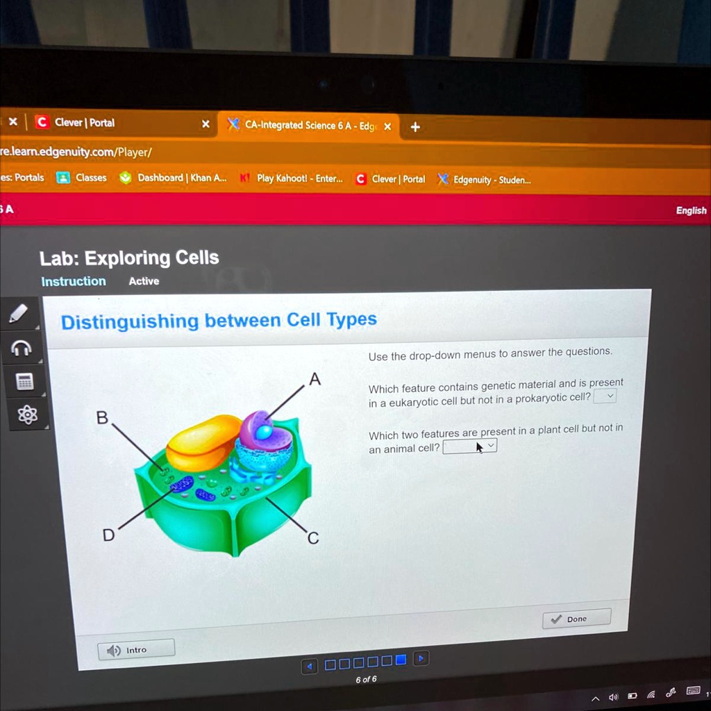 Lab: Exploring Cells Instruction Active Distinguishing between Cell ...