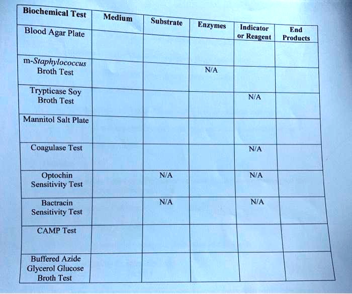 Biochemical Test Medium Substrate Enzymes Indicator or Reagent End ...