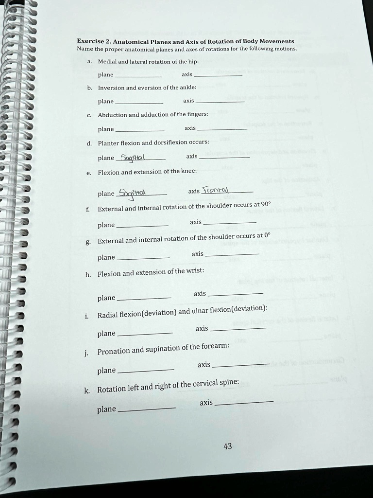 Exercise 2. Anatomical Planes and Axis of Rotation of Body Movements ...
