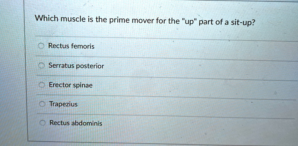 which muscle is the prime mover for the up part of a sit up rectus ...