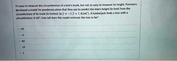 It's easy to measure the circumference of a tree's trunk, but not so ...