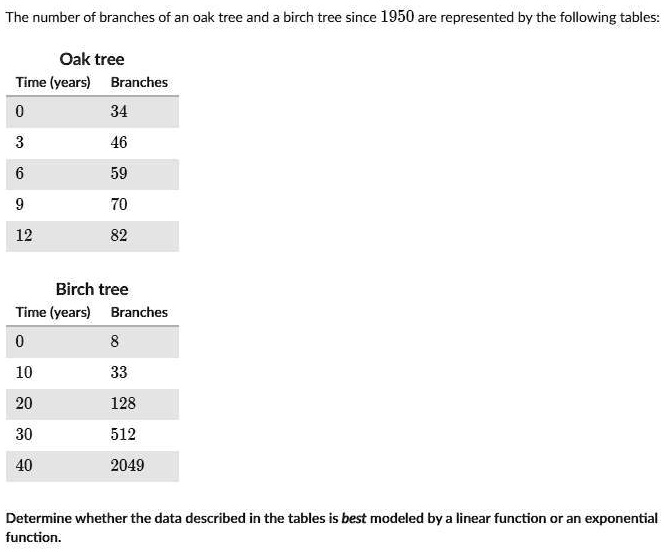 The number of branches of an oak tree and a birch tree since 1950 are ...