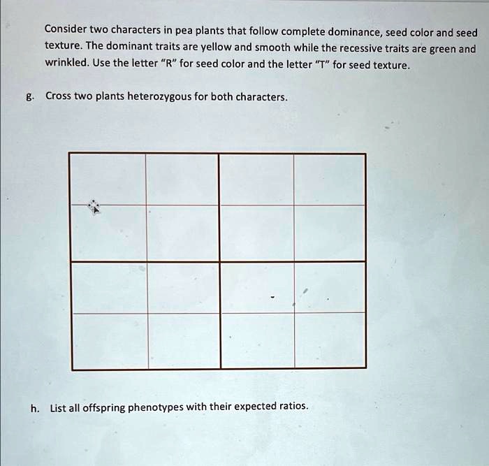 Consider two characters in pea plants that follow complete dominance ...