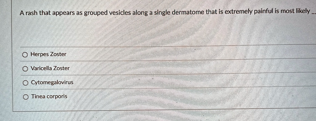 a rash that appears as grouped vesicles along a single dermatome that ...