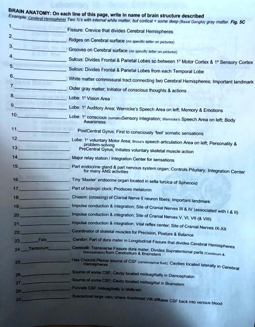 VIDEO solution: Fissure: Crevice that divides Cerebral Hemispheres ...