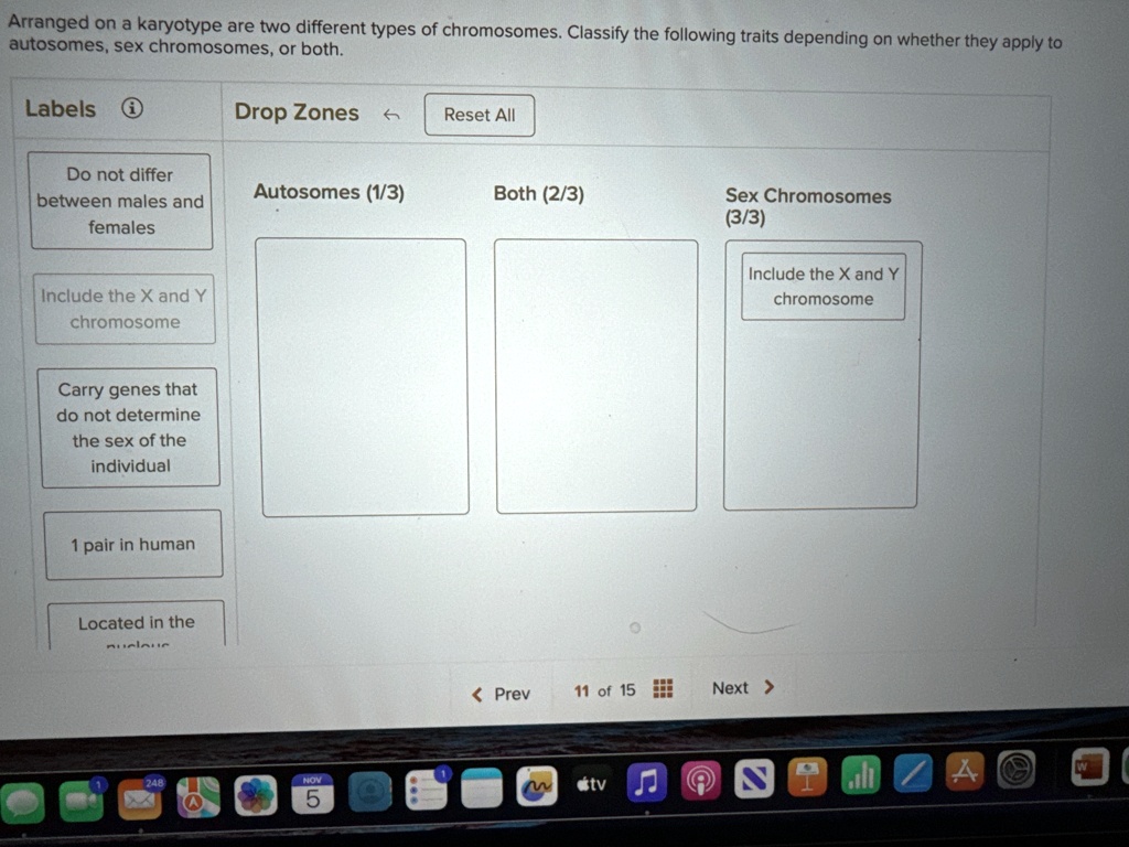 Arranged on a karyotype are two different types of chromosomes ...