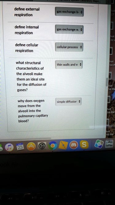 SOLVED: Define external respiration. Gas exchange. Define internal ...