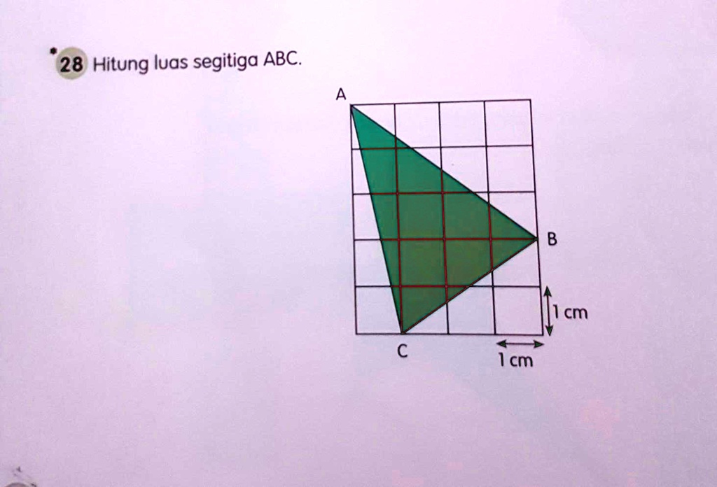 SOLVED: hitung luas segitiga ABC 28 Hitung luas segitiga ABC. cm cm