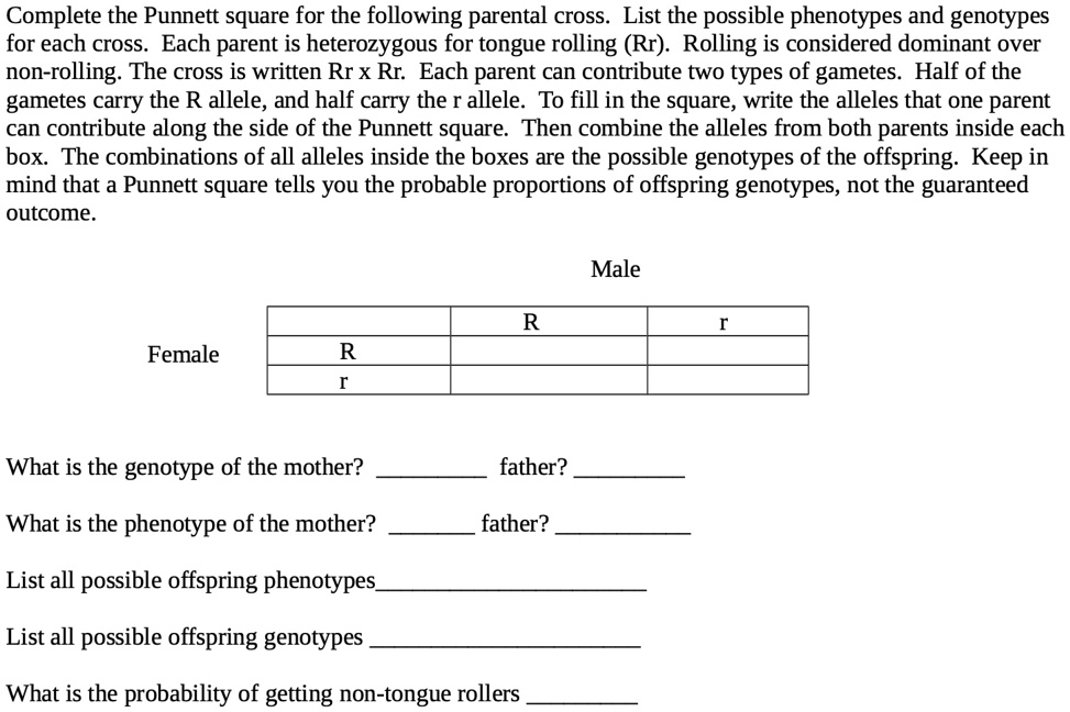 Complete the Punnett square for the following parental cross. List the ...